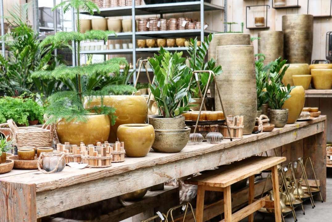 Poppelaars Tuincentrum in Breda