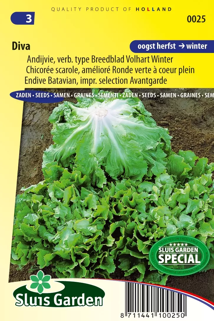 Andijvie diva - Poppelaars Tuincentrum