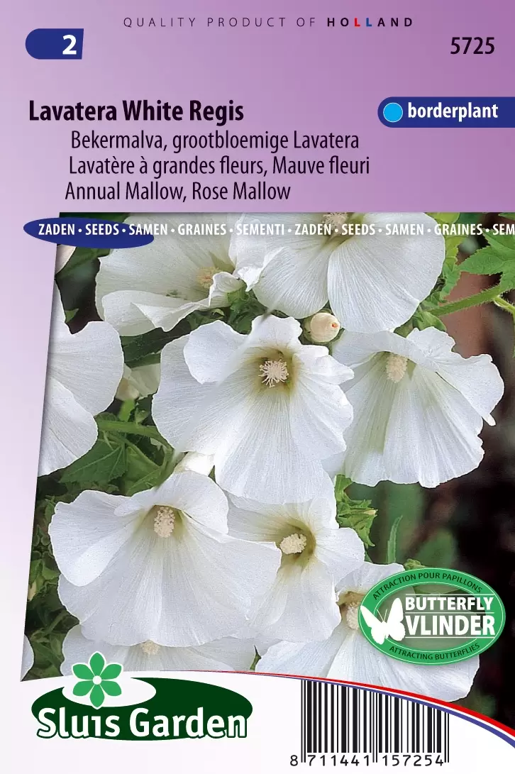 Lavatera trimestris white regis - Poppelaars Tuincentrum