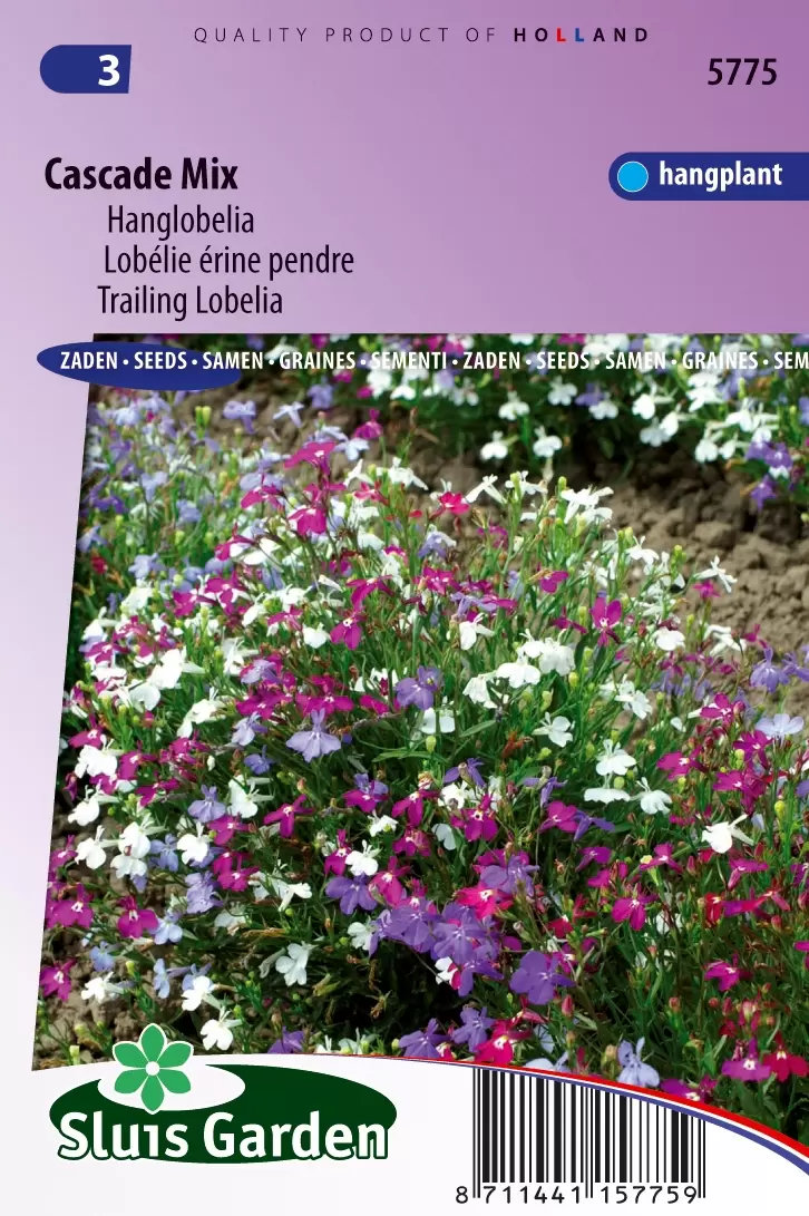 Lobelia erinus pendula cascade mix - Poppelaars Tuincentrum